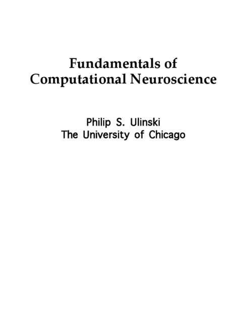 what is computational neuroscience pdf sparkinfo