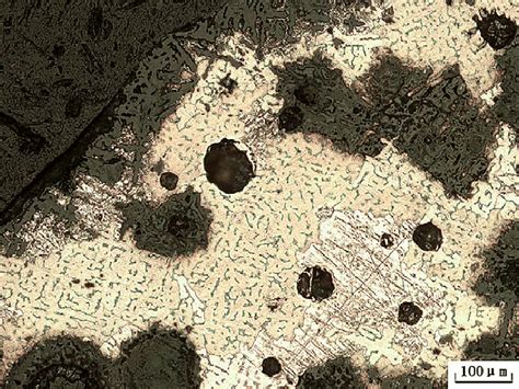 As Cast Dendritic Microstructure Of The Bu Hz001 With Considerable A