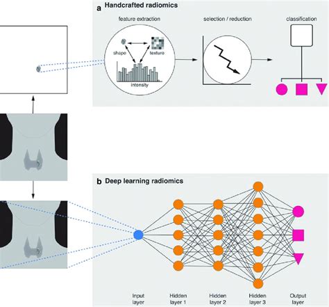 2 Handcrafted And Deep Learning Radiomics Pipeline A In The