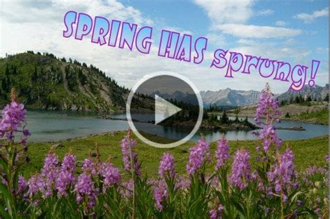 Working With Text Corel Discovery Center