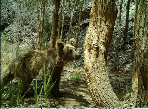 Засгийн газрын үйл ажиллагааны хөтөлбөрөөс “ Нарансэвстэй боомтыг