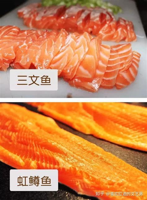 中国的三文鱼在哪里饲养的 知乎