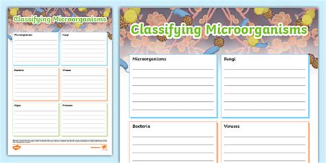 Classifying Microorganisms Fact File Template