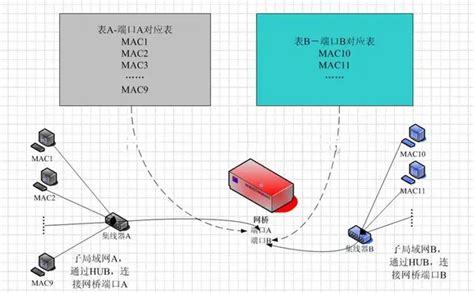 集线器、网桥、交换机的区别（详解干货！！！） 知乎