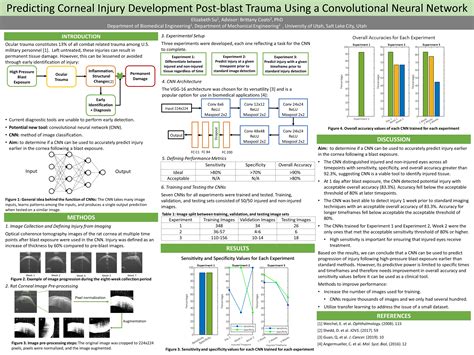 Lizzie Rocks Urop Symposium Utah Head Trauma Lab