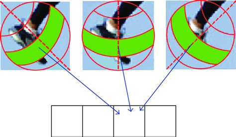 Construction Of A Rotation Invariant Appearance Model For Feet Download Scientific Diagram