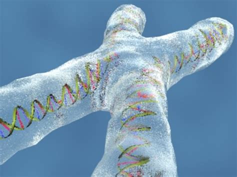 3d Chromosome Models Turbosquid