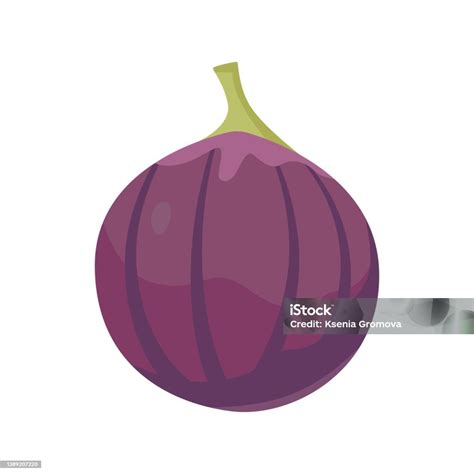 ilustración de fruta de higo ilustración vectorial plana aislada sobre