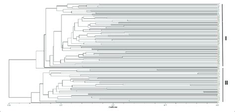 Upgma Clustering Tree Of 126 Samples Of Schizothorax Biddulphi I