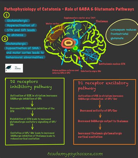 🚨catatonia Medical Catatonia Constitutes Between 50 80 Of Catatonia