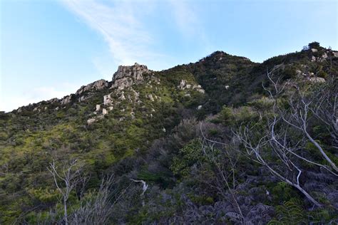 山行記 右田ヶ岳 片山コース三谷山縦走 蒼天遊々な旅