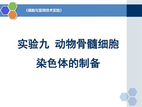 细胞与显微技术实验 实验九 动物骨髓细胞染色体的制备 ppt download
