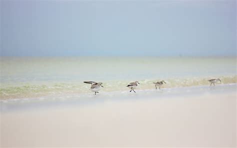무료 이미지 바닷가 바다 연안 물 모래 대양 아침 육지 웨이브 반사 자료 대기 현상 4516x2814 116785 무료 이미지 Pxhere