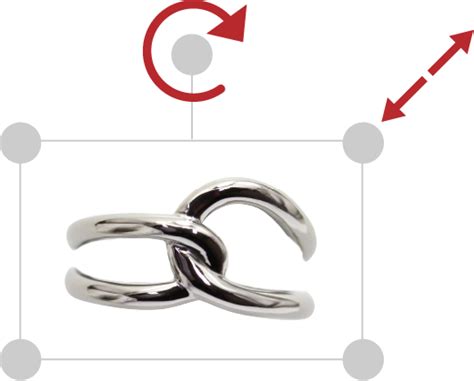 Ring Simulationilii