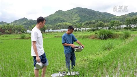 融媒 新华网江西频道