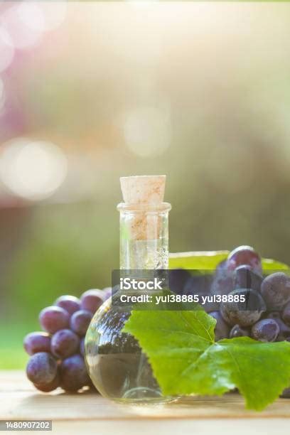 유리 둥근 병에 포도 기름과 식초 흐릿한 녹색 정원 배경에 잘린 나무 톱에 녹색 잎이 달린 포도 다발 유기농 천연 바이오 포도씨 오일 건강한 생활방식에 대한 스톡 사진 및