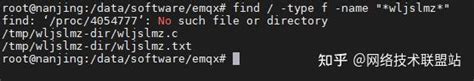 如何使用 Linux find 命令查找文件 知乎