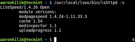Install OpenLiteSpeed PHP MariaDB On Debian And Ubuntu