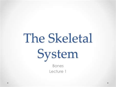 ppt the skeletal system powerpoint presentation free download id