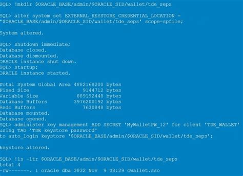 Enable Tde Auto Login Wallet And Secure External Password Store Seps Database Heartbeat