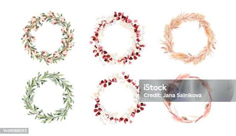 필드 허브 손으로 그린 수채화 건조 유칼립투스 목화 가지 및 팜파스 잔디 화환 삽화 식물 표본 상자 디자인을위한 식물 요소 수채화 손으로 그린 프레임 클립 아트 컬렉션 0