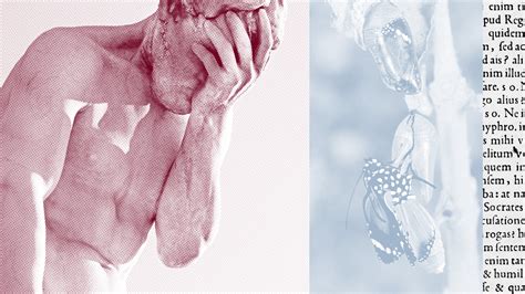 Classical Liberalism And Three Of Its Founders Explained Big Think