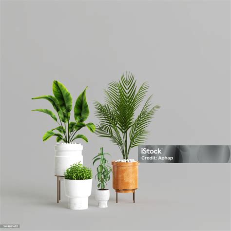 회색 배경에 격리된 화분의 3d 그림 0명에 대한 스톡 사진 및 기타 이미지 0명 3차원 형태 개념 Istock