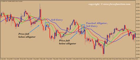 Simple Forex Trading Strategy With Alligator Indicator