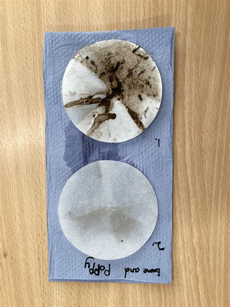 Y5 Science Separating Materials Wickersley St Albans Ce Primary