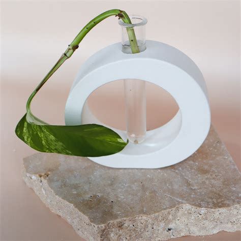 Ceramic Propogation Vase With Test Tube Plant Love And Labels