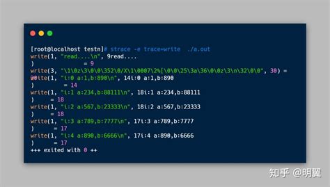 linux下可执行文件分析 知乎
