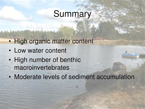 Ppt Sediment Depth Accumulation And Benthic Macroinvertebrates