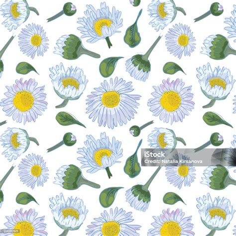 흰색 배경에 귀여운 데이지 꽃과 나뭇잎이 있는 완벽 한 패턴입니다 0명에 대한 스톡 벡터 아트 및 기타 이미지 0명