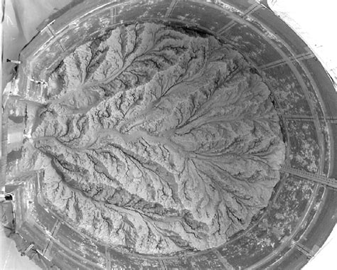 Vertical View Of The Dendritic Pattern Of The Drainage Network The