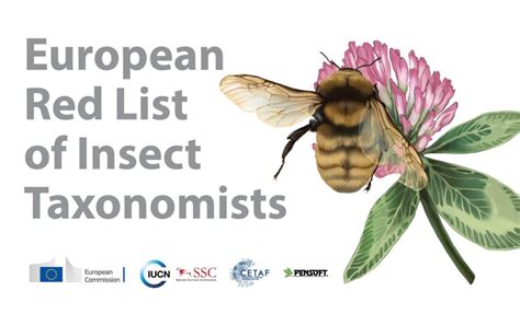 Experts In Insect Taxonomy “threatened By Extinction” Reveals The First