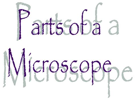 PPT Using A Microscope PowerPoint Presentation Free Download ID 3186324