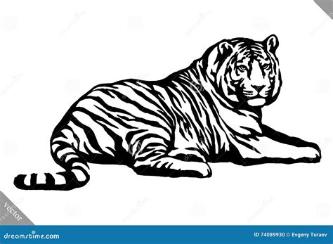 Tiger Face Black And White Clipart