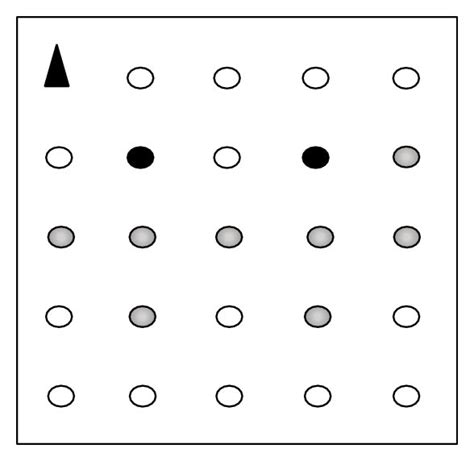 The Branching Scheme On A Grid Download Scientific Diagram