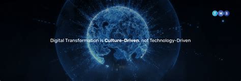 About Tms Consulting Sap Gold Partner For Business Excellence