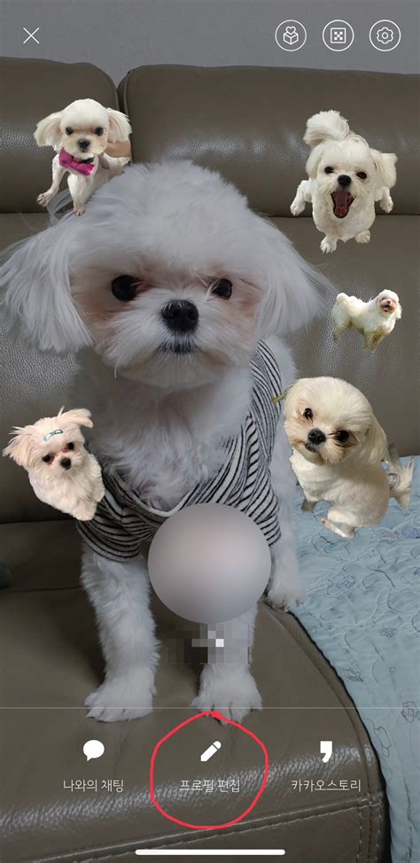 카톡 프로필 누끼사진 넣는 방법 텍스트스캔만 뜰 때 해결방법 아이폰