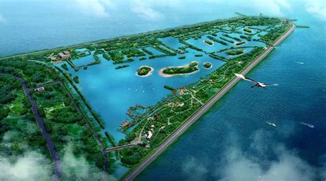 海岸带生态保护修复研究综述 广东省国土空间生态修复协会