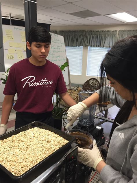 Acorn Processing And Creating Acorn Treats Cimcc Mukurtu