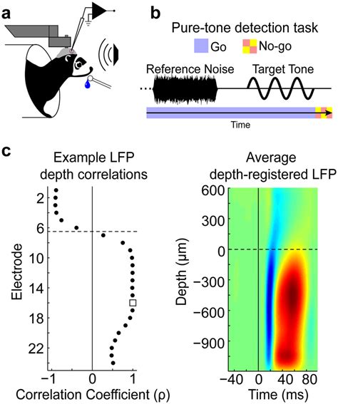 Awake Behaving Experimental Paradigm And Electrode Depth Registration