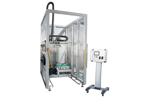 Linear Arm Palletizer Cartonpacker Equipment