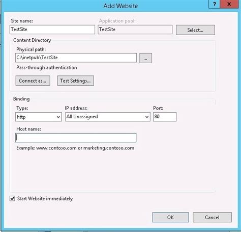 How To Host Multiple Websites On A Single Server Apache And Nginx 1byte