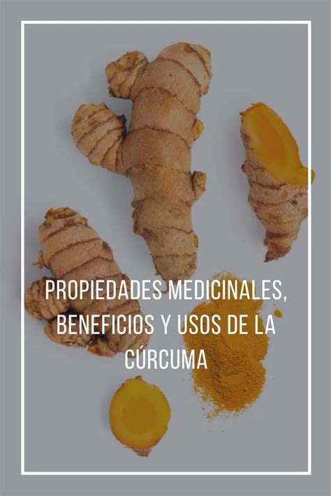 Propiedades Beneficios Y Usos De La Cúrcuma