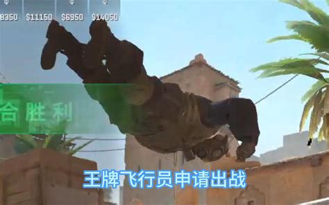 王牌飞行员申请出战 一只蛤蟆csgo 一只蛤蟆csgo 哔哩哔哩视频