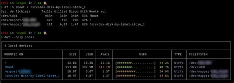 Duf Use Percentage Completely Wrong For Btrfs Raid · Issue 218 · Muesliduf · Github