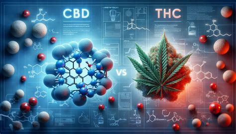 Cbd Vs Thc Understanding Key Differences And Benefits Dosvape