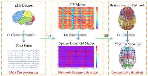 Brain Network Visualization